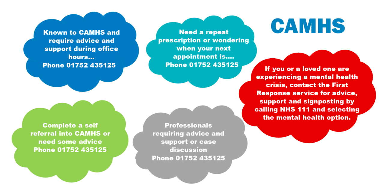 CAMHS | Livewell Southwest